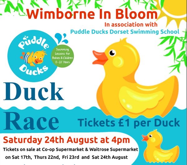 The official Wimborne in Bloom website